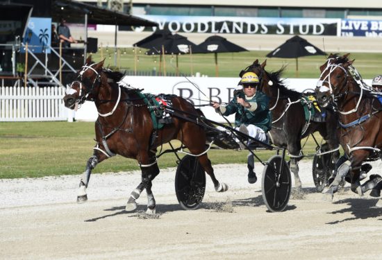 Alexandra Park Auckland - Harness Racing | Venue Hire | Sports Bar | TAB