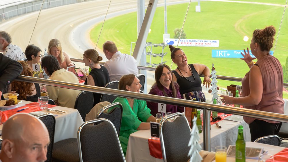 Christmas at the Races - 28 November 2025 | Alexandra Park