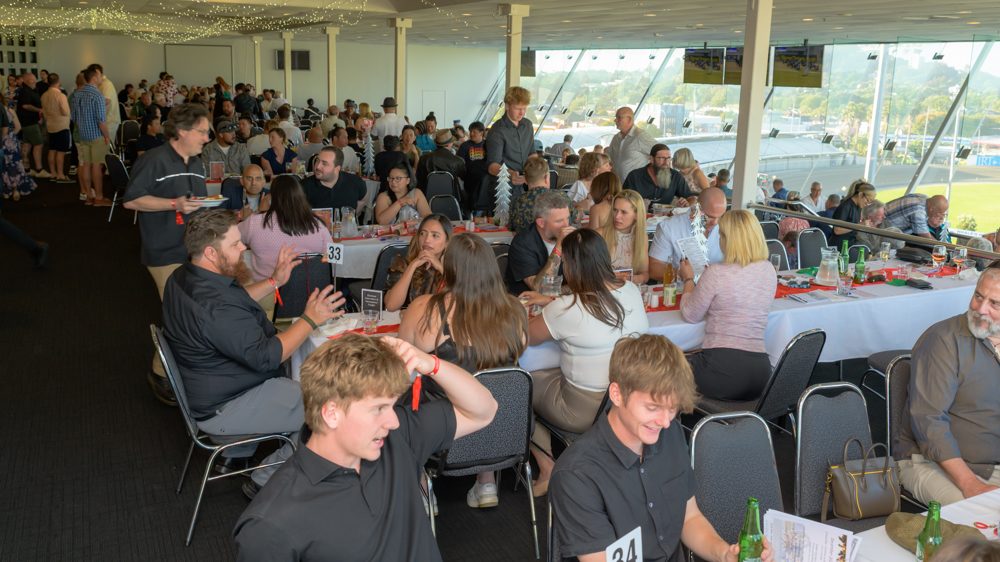 Christmas at the Races - 12 December 2025 | Alexandra Park
