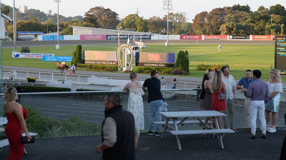 Christmas at the Races - 12 December 2025 | Alexandra Park