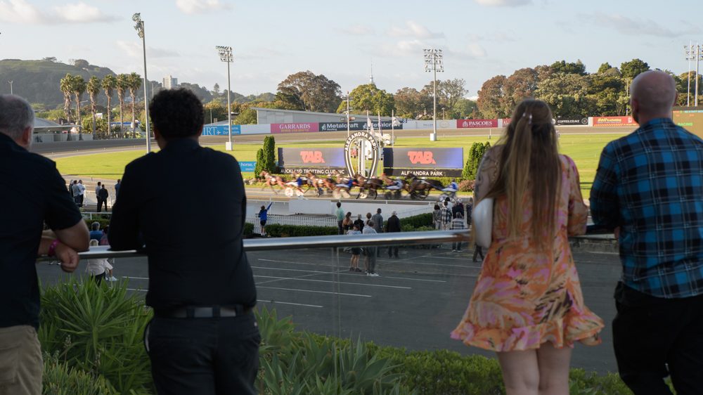 Christmas at the Races - 12 December 2025 | Alexandra Park