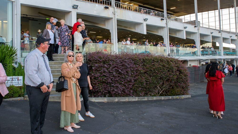 Christmas at the Races - 12 December 2025 | Alexandra Park