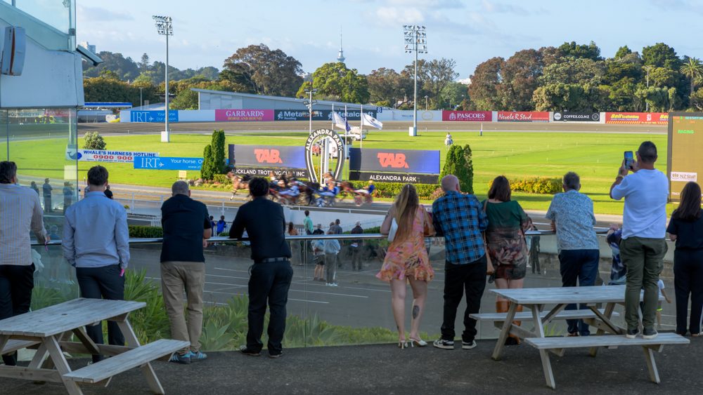 Christmas at the Races - 12 December 2025 | Alexandra Park