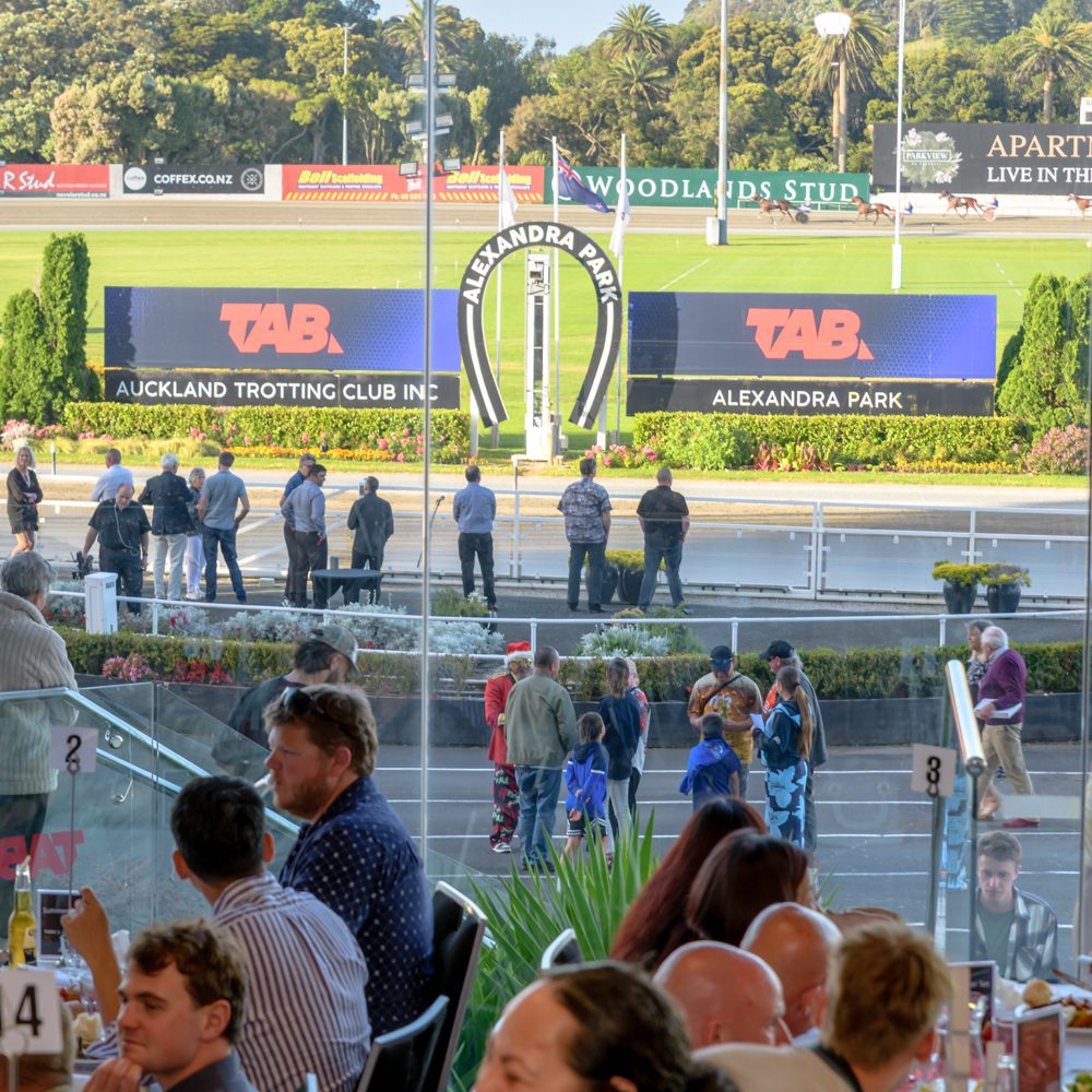 Christmas at the Races - 12 December 2025 | Alexandra Park