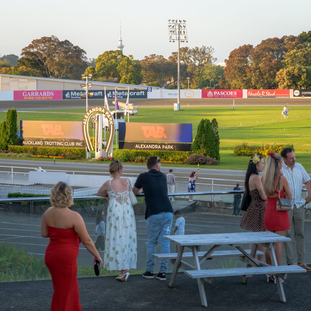 Christmas at the Races - 12 December 2025 | Alexandra Park