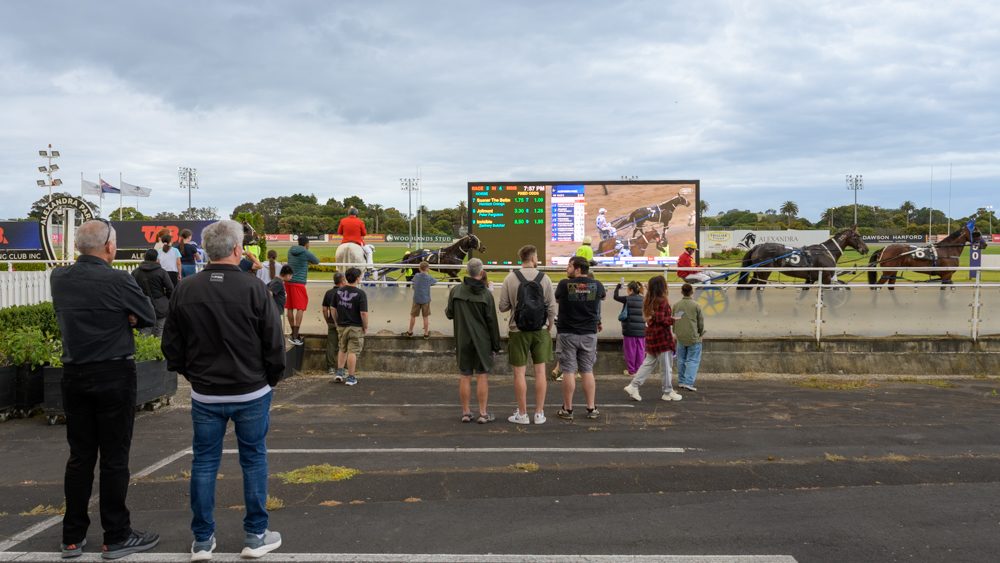 Christmas at the Races - 19 December 2025 | Alexandra Park