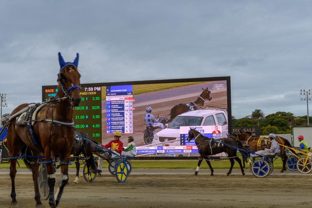 Christmas at the Races - 19 December 2025 | Alexandra Park