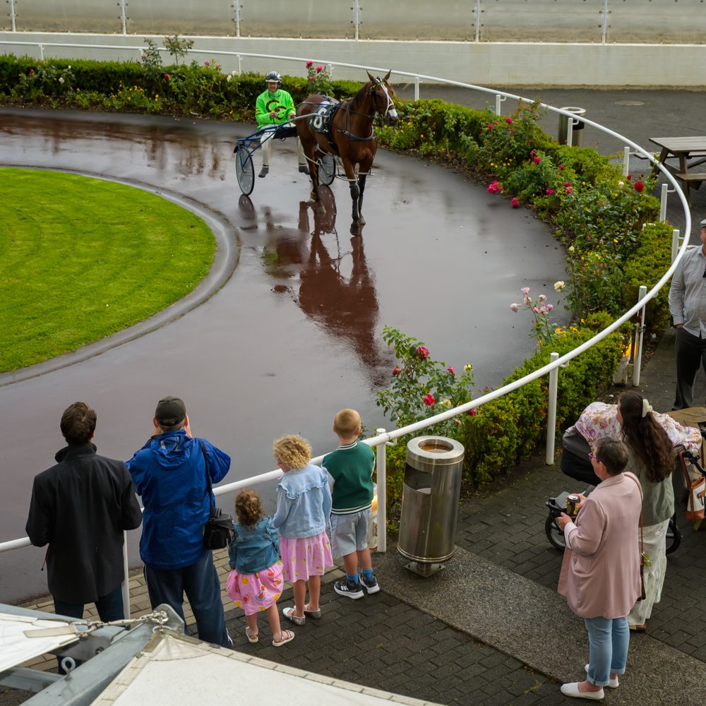 New Year's Eve Races | Alexandra Park