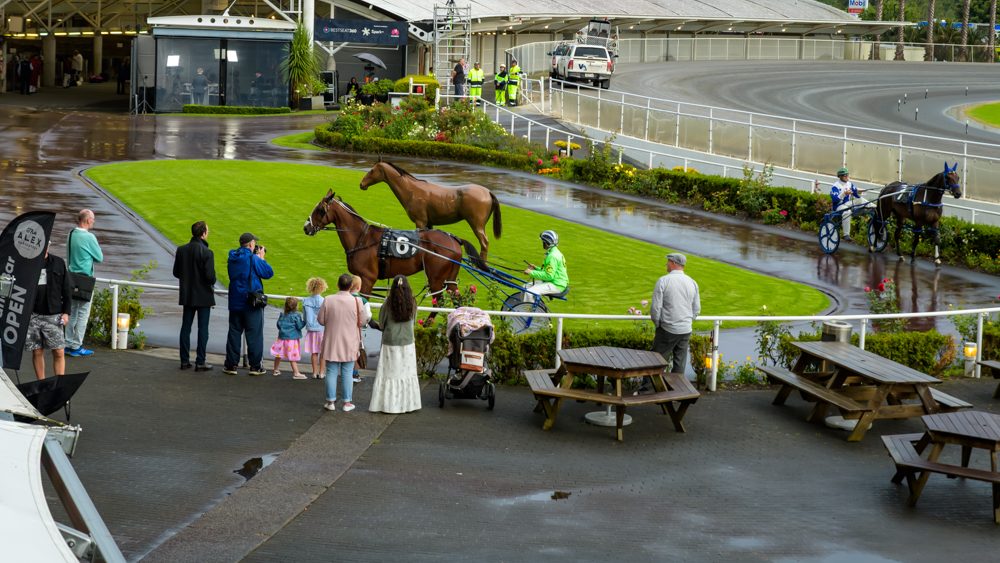 New Year's Eve Races | Alexandra Park