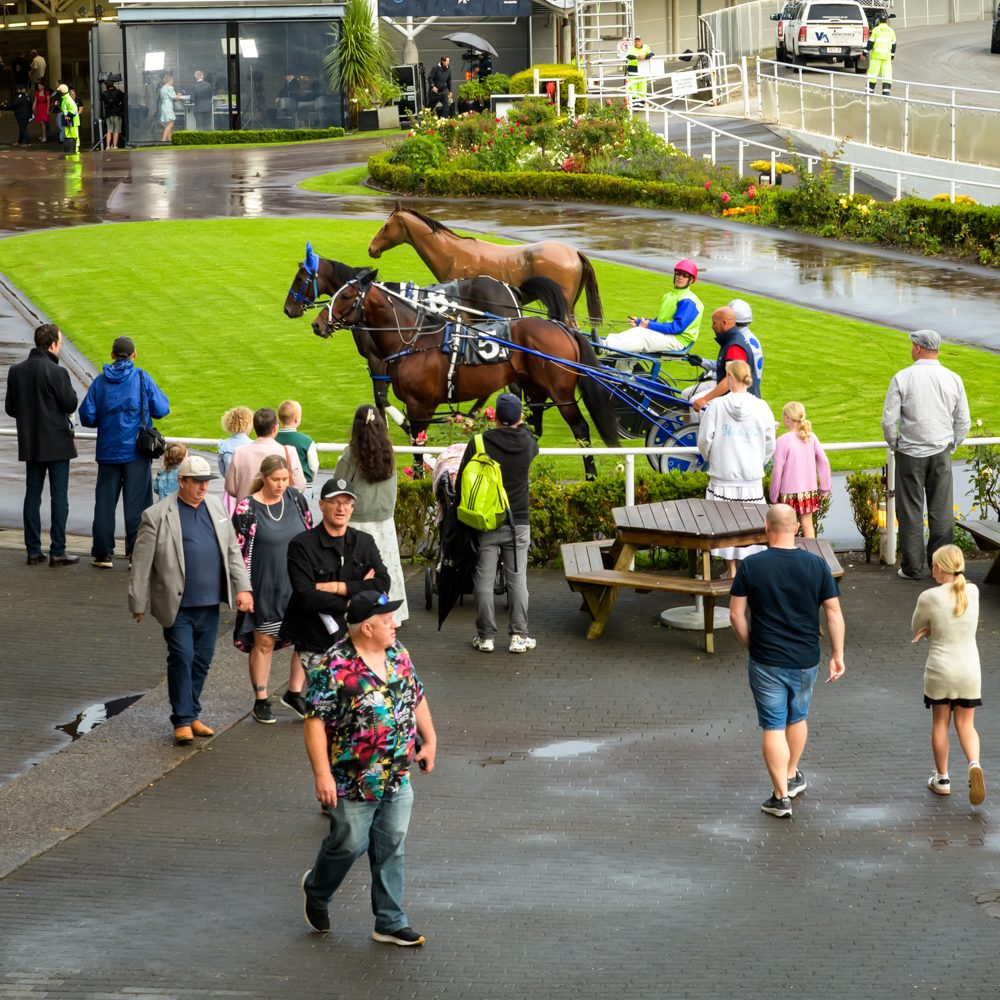 New Year's Eve Races | Alexandra Park