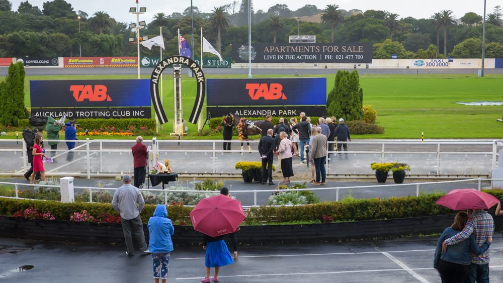 New Year's Eve Races | Alexandra Park