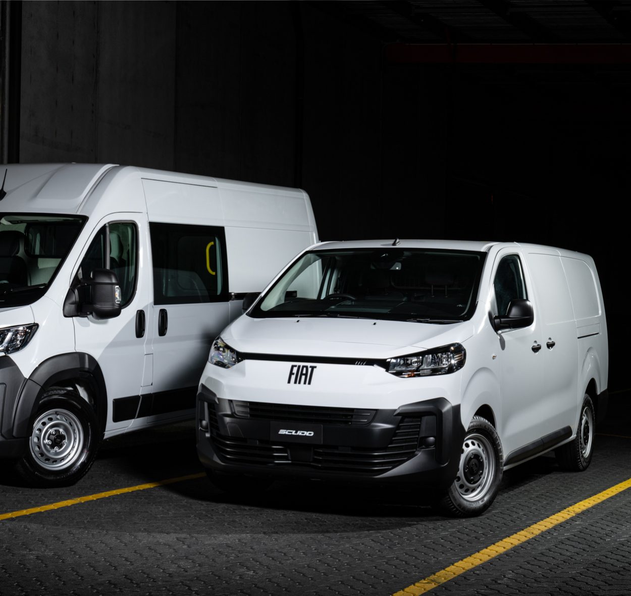 Suzuki NZ - New & used sales, service & parts | Winger Motors NZ