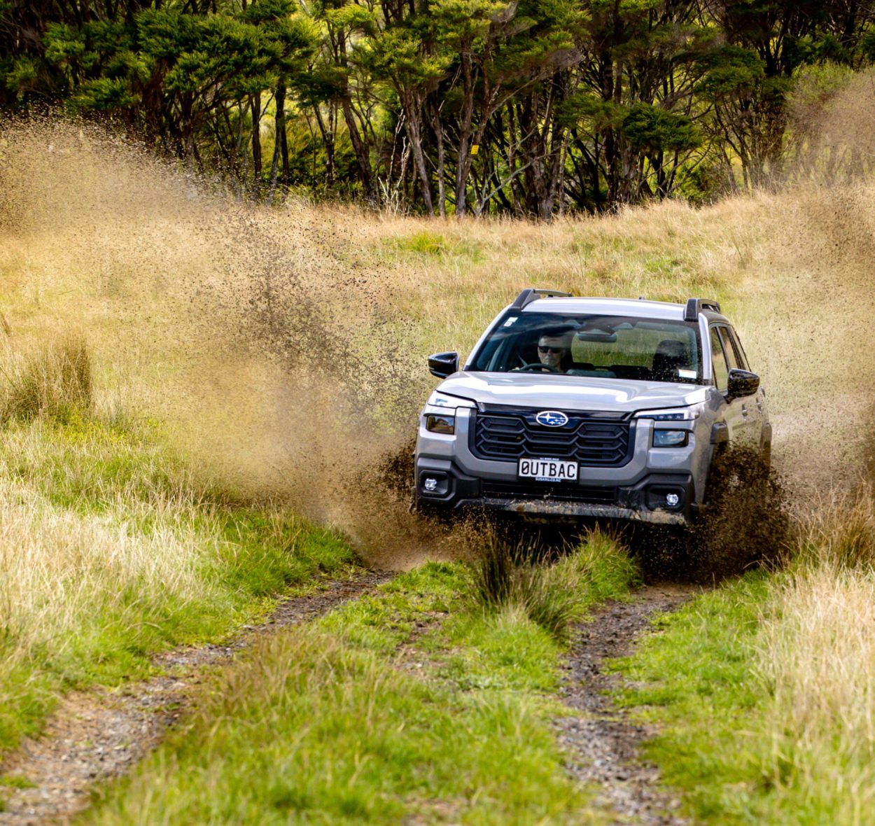 Suzuki NZ - New & used sales, service & parts | Winger Motors NZ